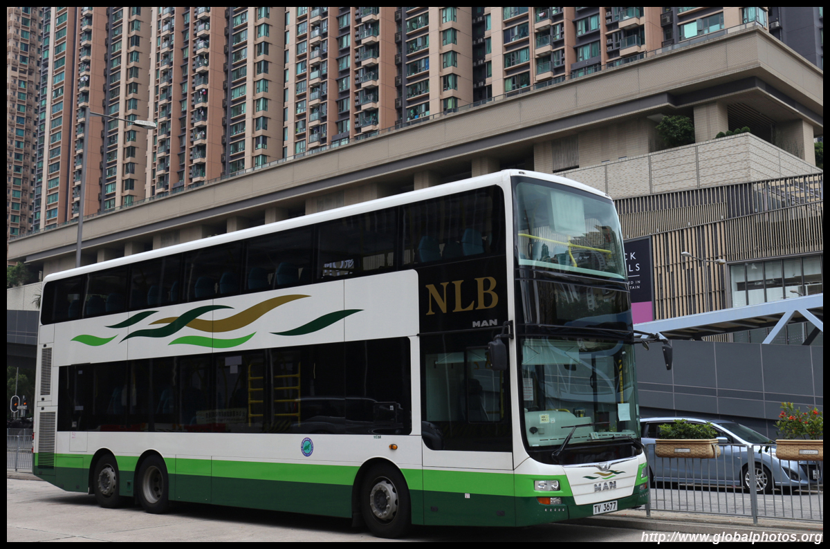 New Lantao Bus Photo Gallery