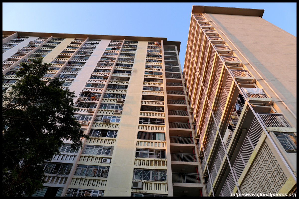 Hong Kong Photo Gallery - Wah Fu Estate