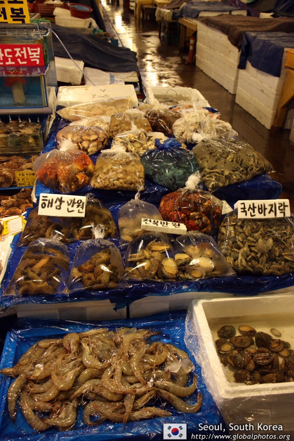 Seoul - Noryangjin Fish Market Photo Gallery
