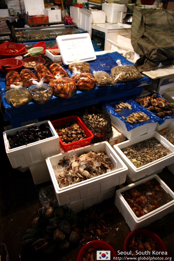 Seoul - Noryangjin Fish Market Photo Gallery