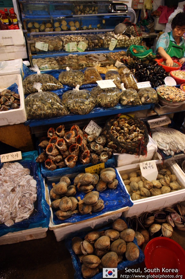 Seoul - Noryangjin Fish Market Photo Gallery