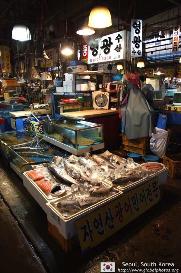 Seoul - Noryangjin Fish Market Photo Gallery