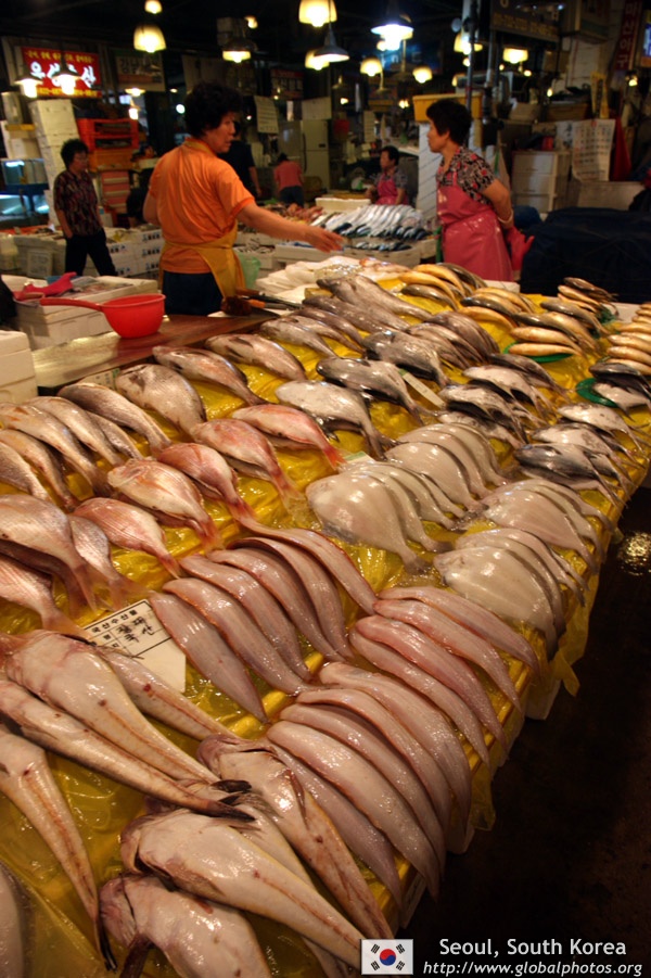 Seoul - Noryangjin Fish Market Photo Gallery