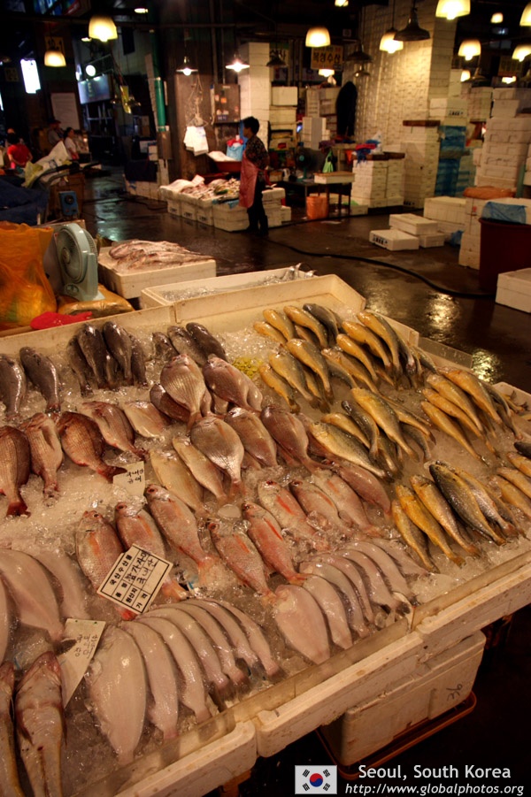 Seoul - Noryangjin Fish Market Photo Gallery