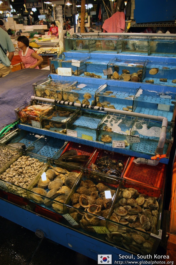 Seoul - Noryangjin Fish Market Photo Gallery