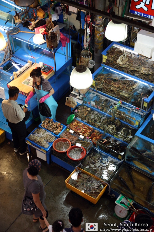 Seoul - Noryangjin Fish Market Photo Gallery