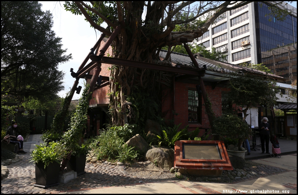 Taipei Photo Gallery - Rongjin Gorgeous Time